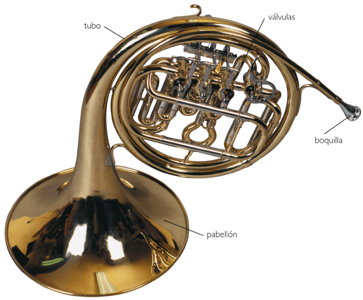 Els dimecres parlarem d’instruments / Los miércoles hablaremos de ...